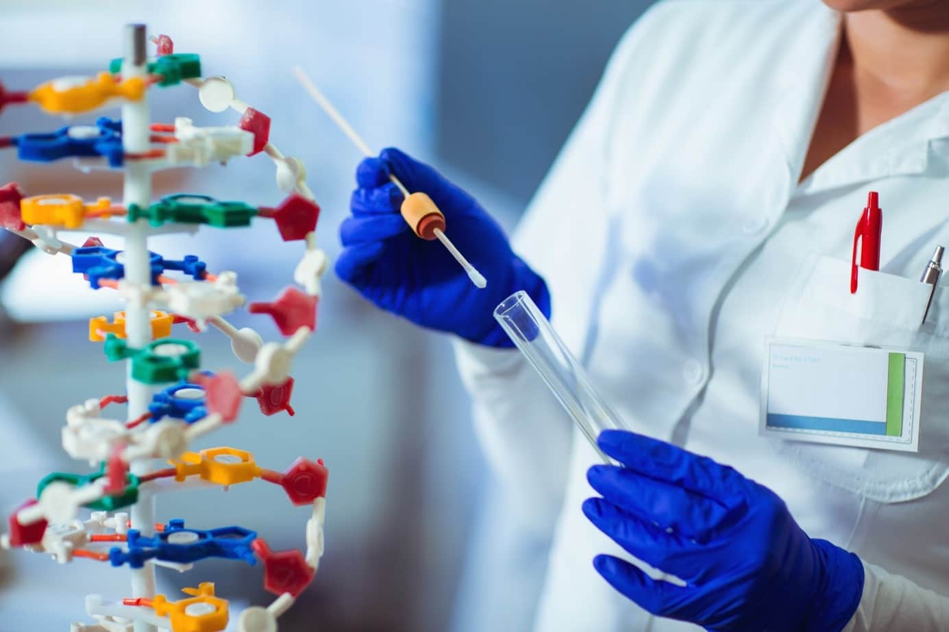 Test ADN gratuit : voici les conseils pour l'obtenir.