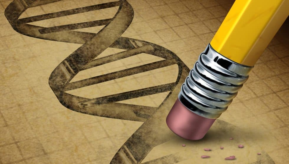 Mutation ADN : une modification naturelle ou provoquée de la génétique